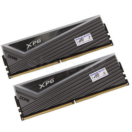 ᐈ DDR-5 DIMM 32 GB 6000 MHz ADATA XPG Caster RGB, 2x 16 GB Kit, Black ...